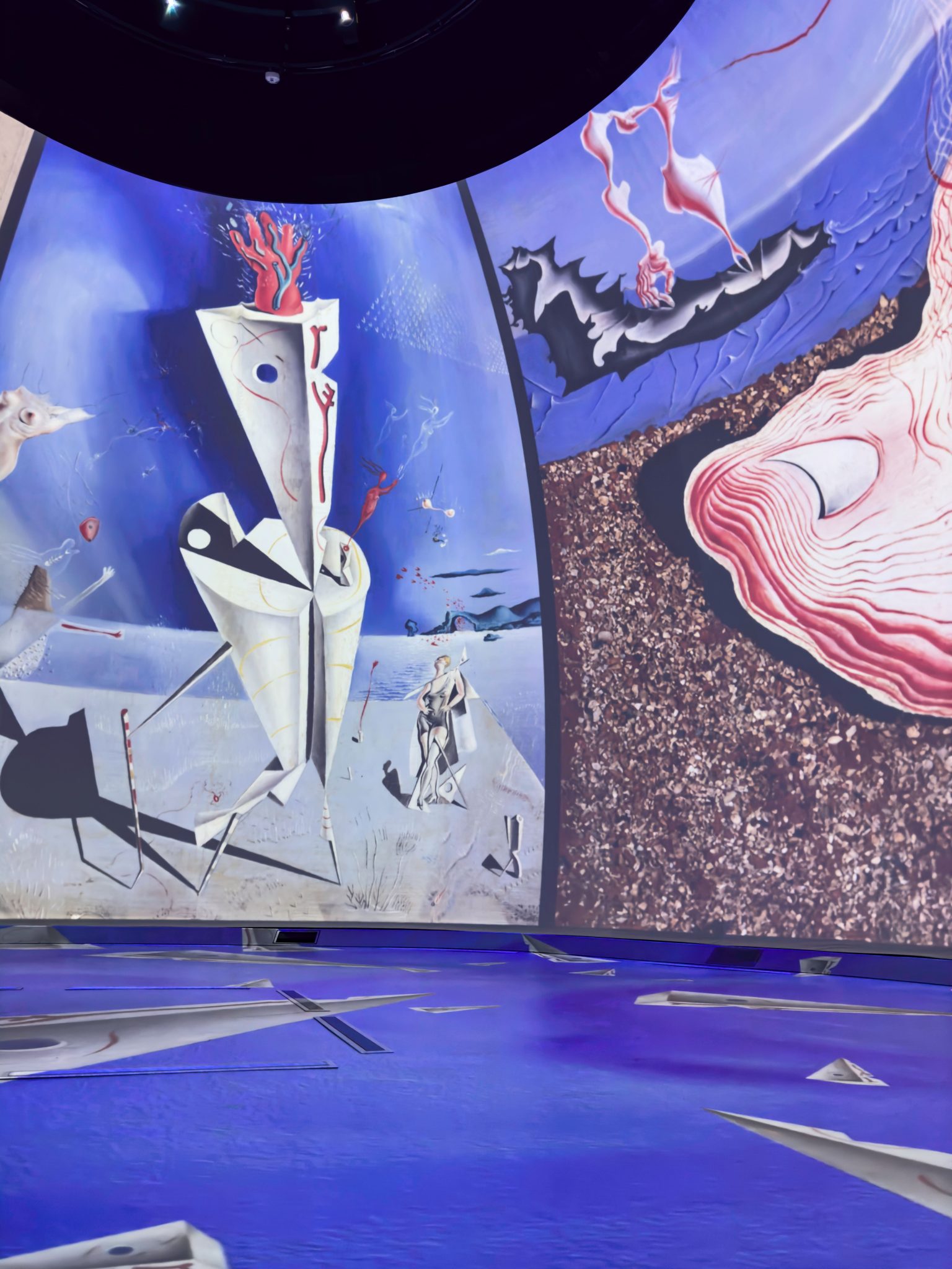 Dalí Alive 360° - Salvador Dalí Museum