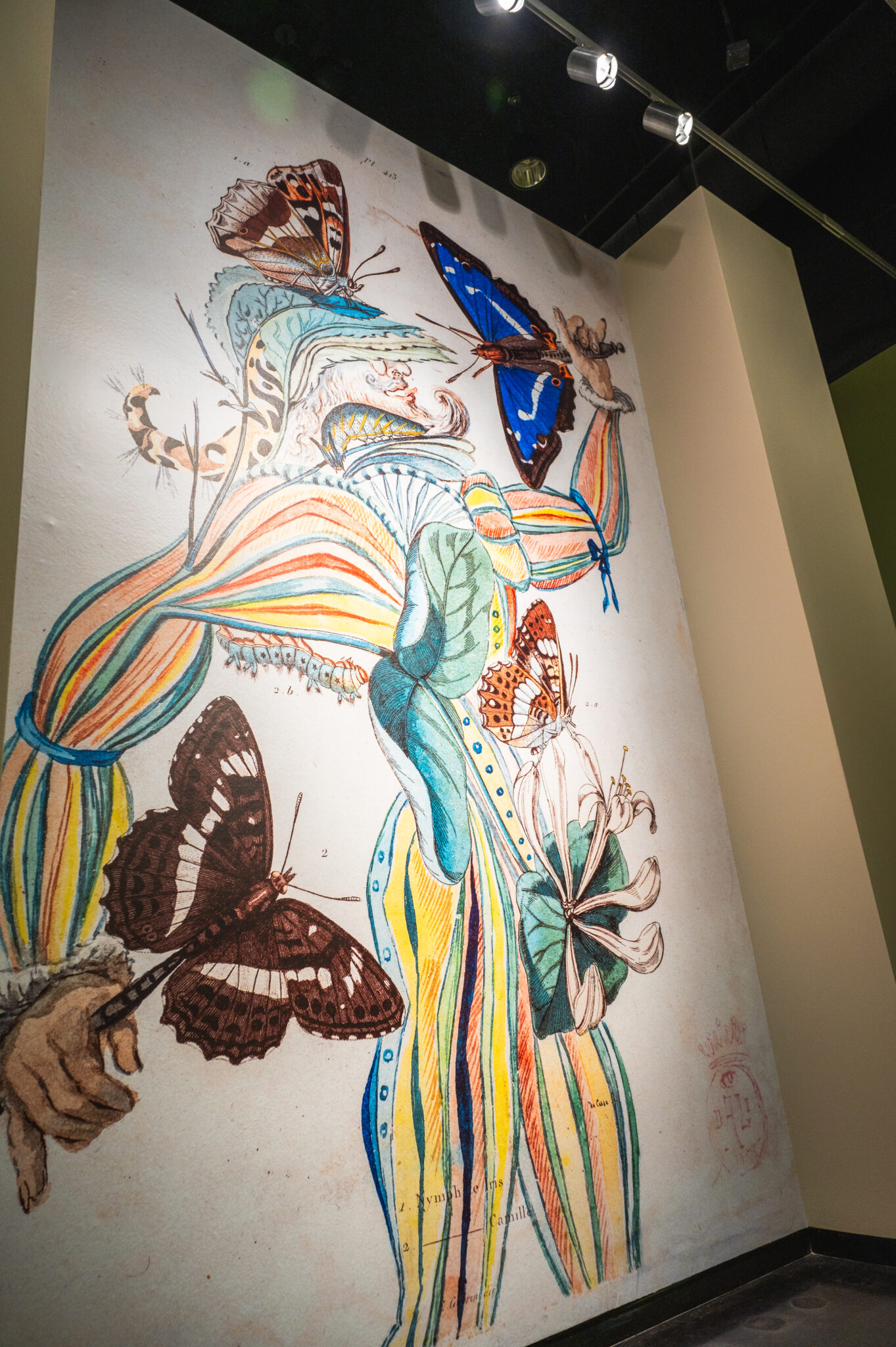 Reimagining Nature: Dalí's Floral Fantasies - Salvador Dalí Museum